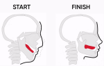 How to Mew Correctly